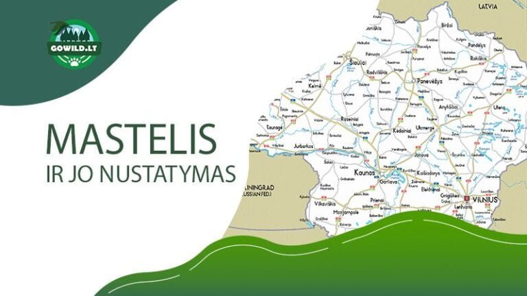 Mastelis ir jo nustatymas | Kaip teisingai nustatyti? - Būvis.lt